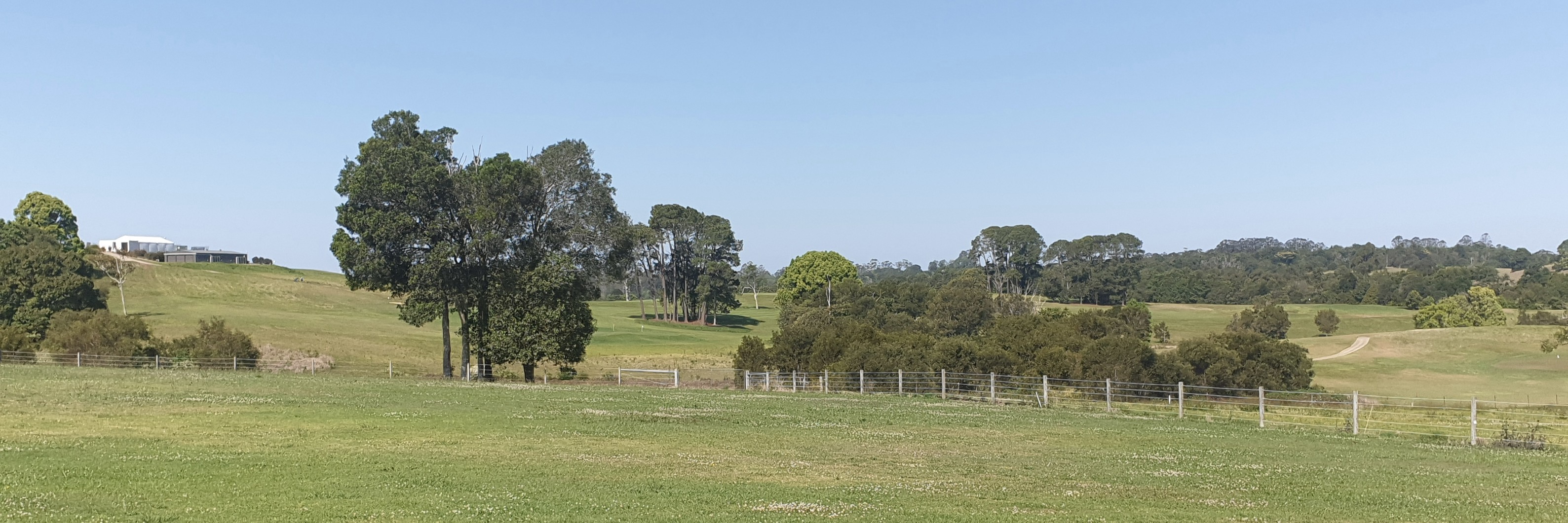Maleny Bridge Club